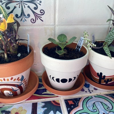 Hand Painted Planter Arizona Desert Cacti Terracotta Pot Clay Pot Boho ...