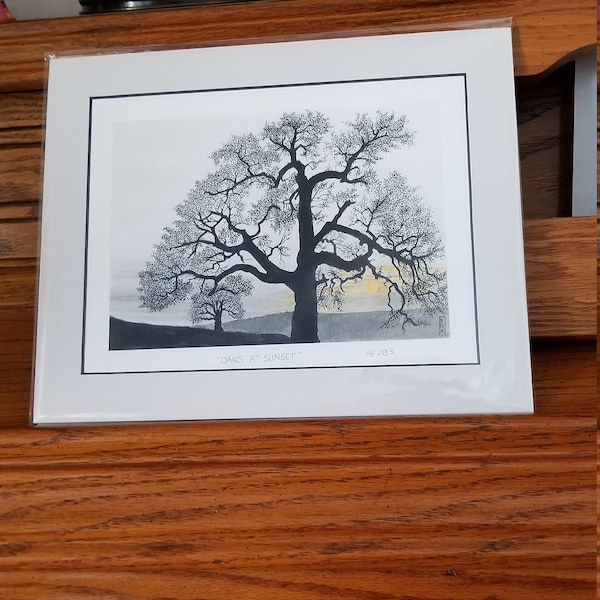SCRAGGLY TREE is a Print of an Original Drawing of an Old Scraggley ...