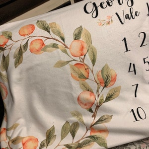 Butterfly Milestone Cards Baby Milestone Butterfly Discs | Etsy