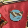 DW "side-eye" Pin - Etsy