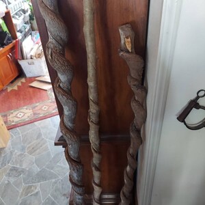 Roman Vitis Stick 3638 etsy - Etsy