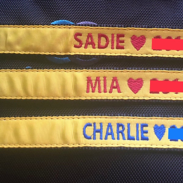 Custom Personalized Embroidered Dog Leash - Etsy