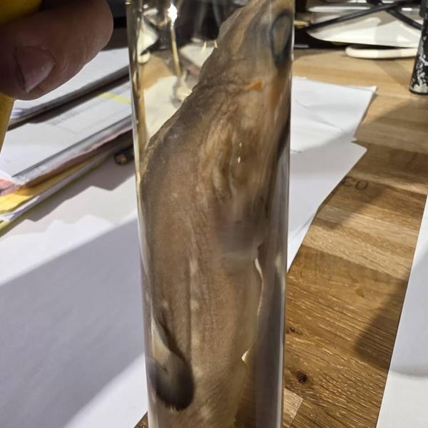 Y2k Frutiger Aero Aqua MOUSE PAD for Computer - USB, Y2K, Frutiger Aero ...