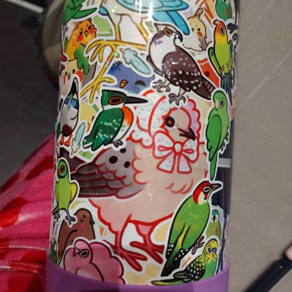 Chickadeez Nuts Sticker - Etsy