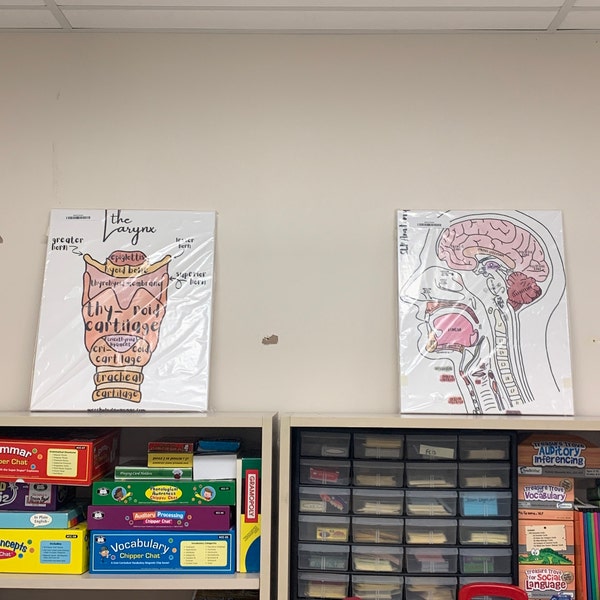 SLP American English IPA International Phonetic Alphabet Paint Swatch ...