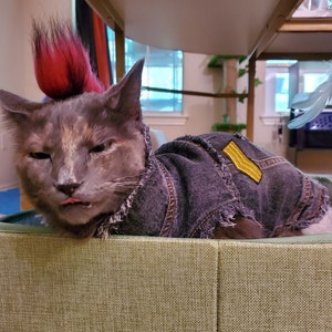 Cat Mohawk - Etsy