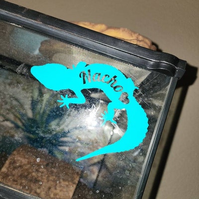 Customizable Name Green Tree Python Emerald Tree Boa Snake Vinyl Decal ...