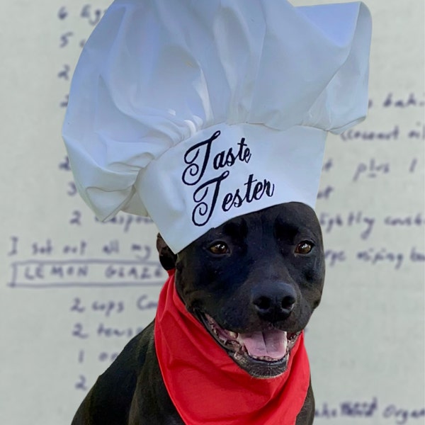 Chef Dog Costume Hat and Red Scarf - Etsy