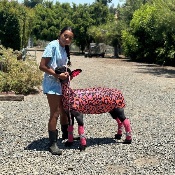 Custom Lamb Body Tubes (solid Colors) - Etsy