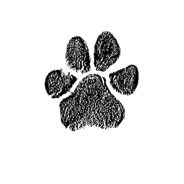 Digital Paw Print Tattoo Digital Print Only Custom Paw Print Pet Tattoo ...