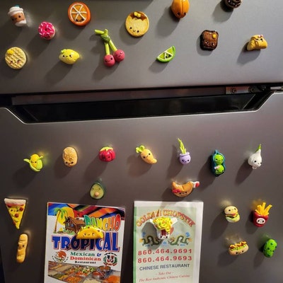 Cute Food Foodie Magnets Set of 4-polymer Clay Decorative Magnets ...