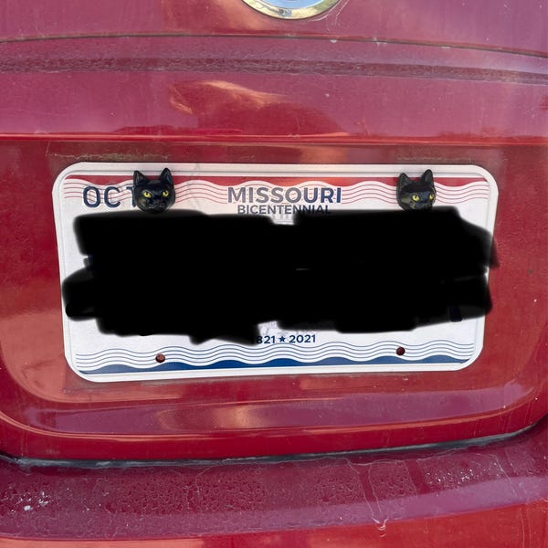 Lady Bug License Plate Screws - Etsy