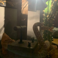 TNT Blasting Machine. Lamp Switch. Dynamite Blaster- Gadgets for Men ...