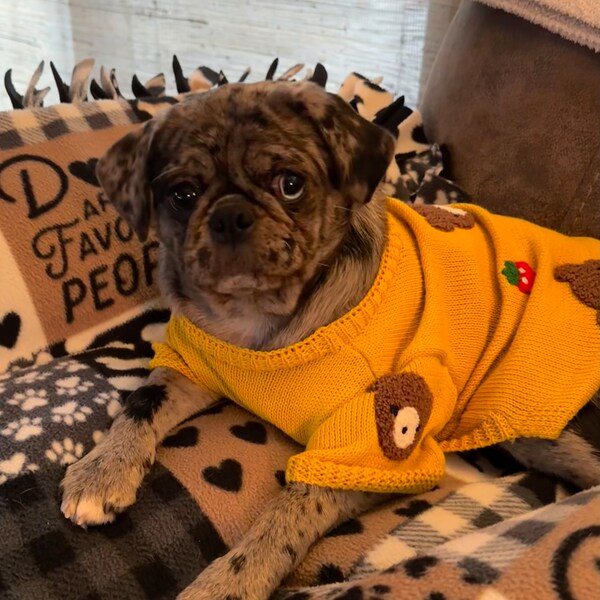 Little Bear Dog Sweater,soft Beige Dog Sweater,cat Sweater, Lightweight ...