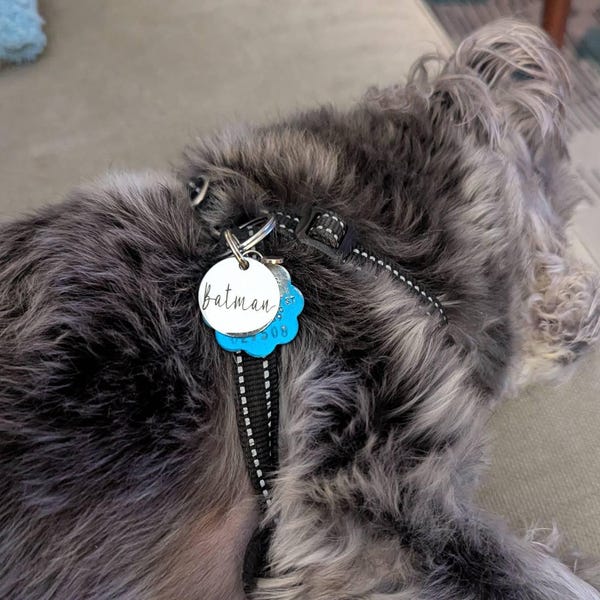 Microchip Dog Tag, Custom Dog Tag, Microchipped, Pet Tag, Dog ID Tag ...