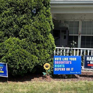 Ban Assault Rifles Not Books Yard Sign, Gun Control Protest Sign, Gun ...