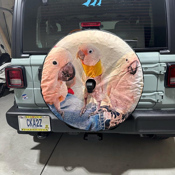 Spare Tire Cover With Messy Bun and Heart Shaped Glasses Design, Girly ...