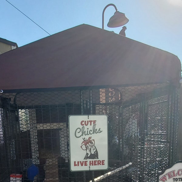Cute Chicks Sign, Sign for Chicks, Farmers Coop, Chicken Home, Chick ...