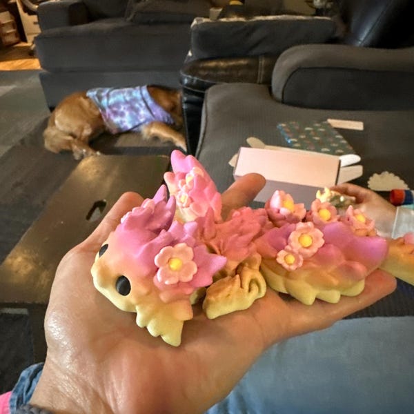 3D Printed Articulating Grub Flexi Fidget, Cute Fidget Toy, Hand ...