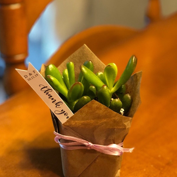 Thank You Succulent Tag | Succulent Stakes | Wedding Favors | Bridal ...