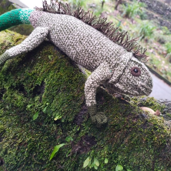 CROCHET LIZARD / IGUANA (pattern) - Etsy