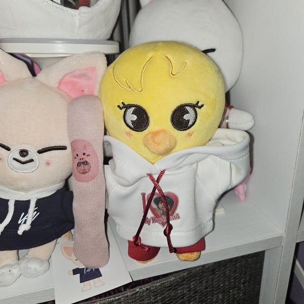 Skzoo Hoodie Set, Stray Kids Plushies, Skzoo Outfits, Skzoo Clothes ...