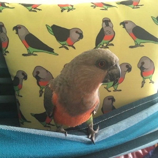 T-rex Hahn's Macaw T-shirt, Funny Parrot Owner Tee, Birb Memes Clothes ...