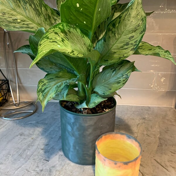 Toy Motorcycle Track, Motocross Kids Track, Supercross Play Track, Atv ...