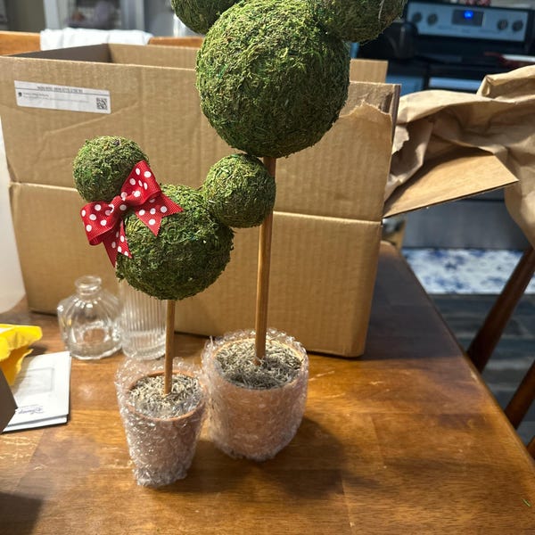 Topiary - Mickey & Minnie Topiaries for Magic to Home, Wedding, Mad Tea ...