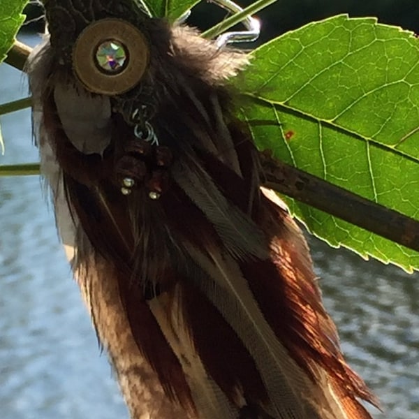 Wild Manchurian Ringneck Pheasant Feathers -- Pelt -- Skin -- Hide - Etsy