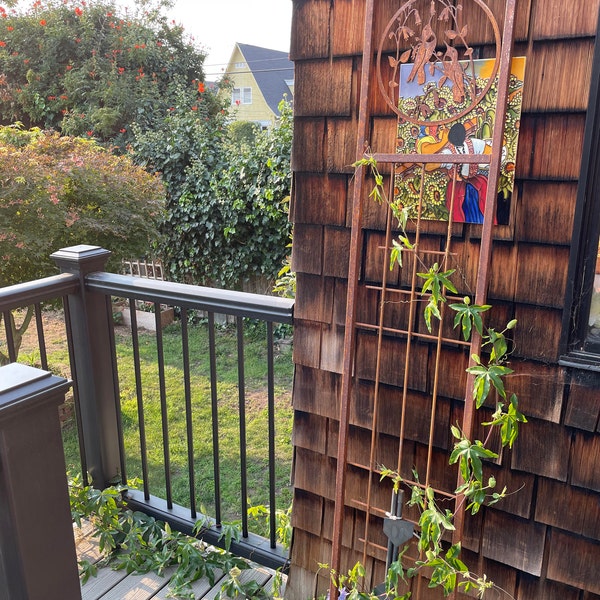 Hummingbird Garden Trellis | Plant & Vines | for Climbing Plants ...