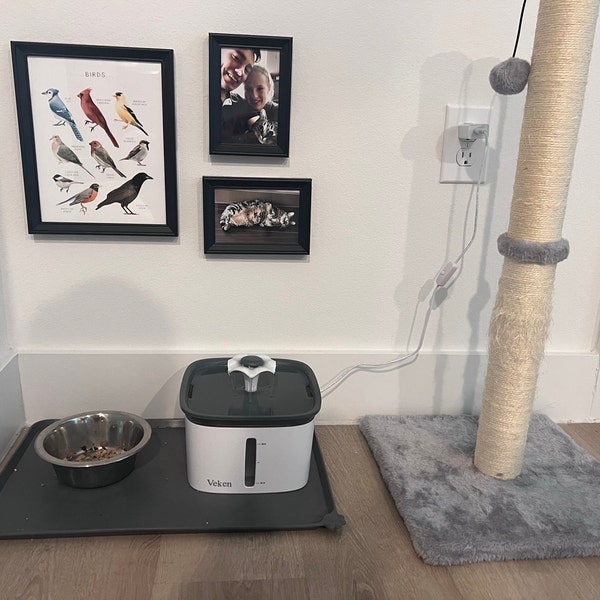 Educational Birds Poster, Common Birds Print, Printable Wall Art ...