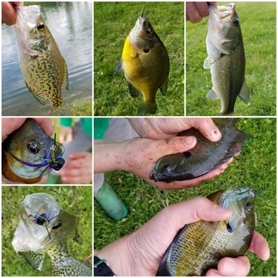 Size 10 Bream Reaper, Pan Fish Fly, Bass Fly - Etsy