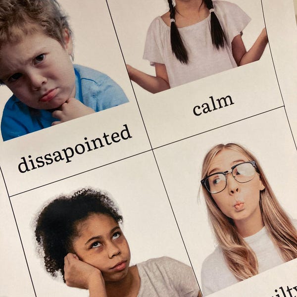 Emotion Flashcards for Kids 28 Real Photos Montessori 3 Part Cards ...