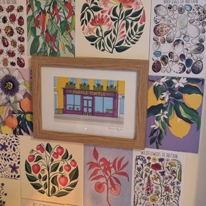 Reading Purple Turtle Art Print, Reading Illustration, Purple Turtle ...