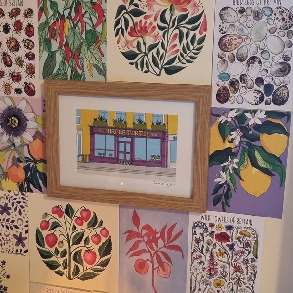 Reading Purple Turtle Art Print, Reading Illustration, Purple Turtle ...