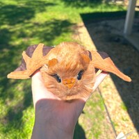 Bat Plush, Fruit Bat, Albino Flying Fox , Halloween Gift Bat Lovers ...