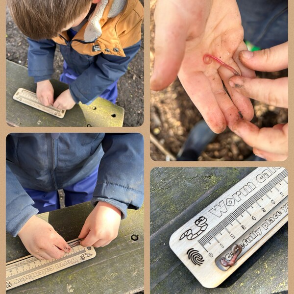 Portable Insect Bug Box Collection Box Parent-child Outdoor Forest ...