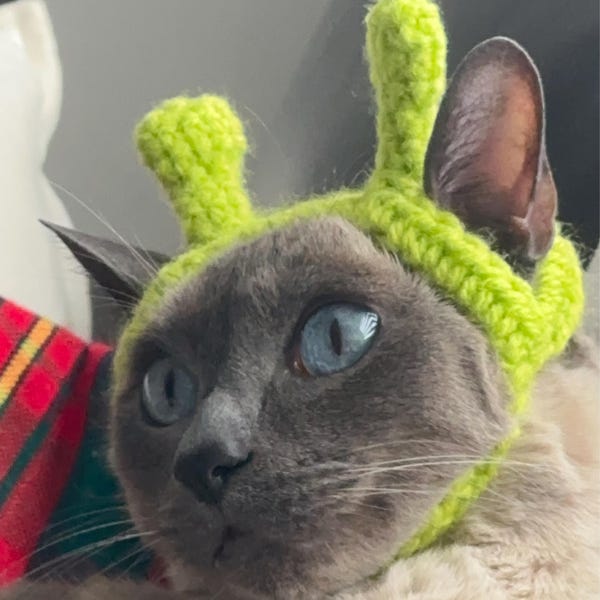 Alien Cat Hat, Cat Alien Antennae Headband, Outerspace Scifi ...