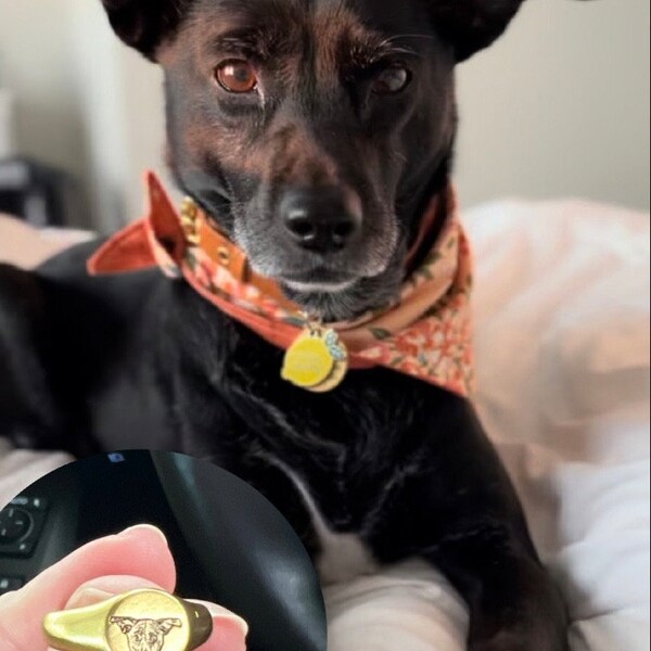 Pet Photo Signet Ring by Caitlyn Minimalist • Custom Engraved Jewelry ...