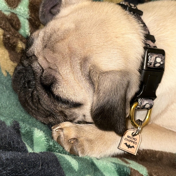 T-shirt Slide Ring, Scarf Ring, 80's 90's T-shirt Ring, Retro Clip ...