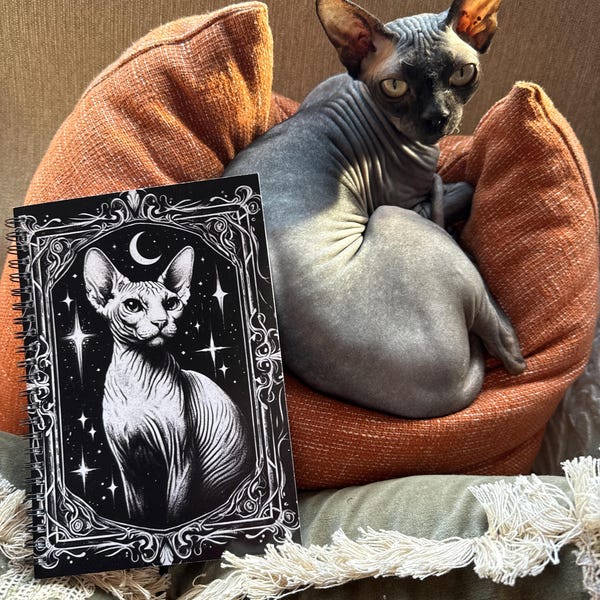 Red Rose Hardcover Gothic Journal | Dark Victorian Floral Goth Notebook ...