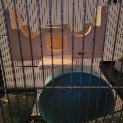 Chinchilla Hut Hideout House Free Standing House for Chinchilla Kiln ...