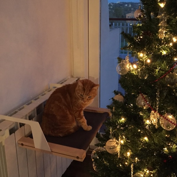 WOOZY | Cat Radiator Hammock / Cat Bed - Etsy
