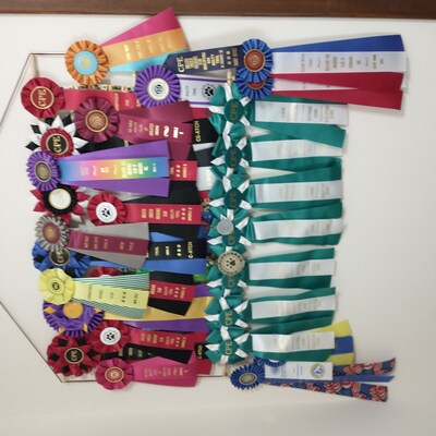 4-H FFA Ribbon Holder Display Award Rack Dog Show Ribbon Holder Award ...