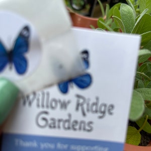 12 Cabbage Moth Decoy White Butterfly on Stake - Etsy