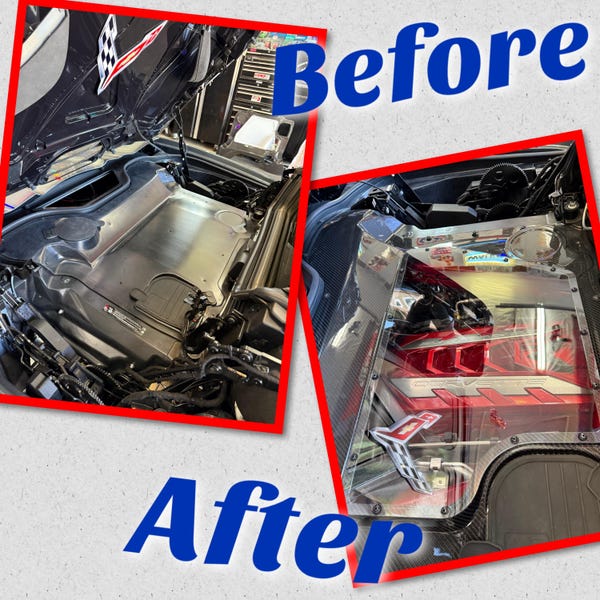 2016-2022 GT500 / GT350 RADIATOR COVER PLATE White and Blue Metallic - Etsy