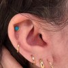 16G Moon Dangle Star Rook Earring/titanium Eyebrow Rook/cartilage ...