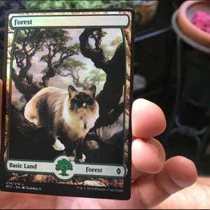 Personalized Pet Magic the Gathering Foil Land | Etsy