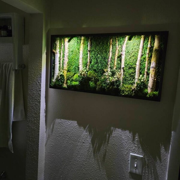 Delightful LED Lights Preserved Moss Wall Art Live Moss LED Home Décor ...